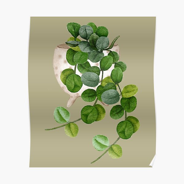 "Golden hanging pothos plant | Pothos (Epipremnum aureum) " Poster for ...