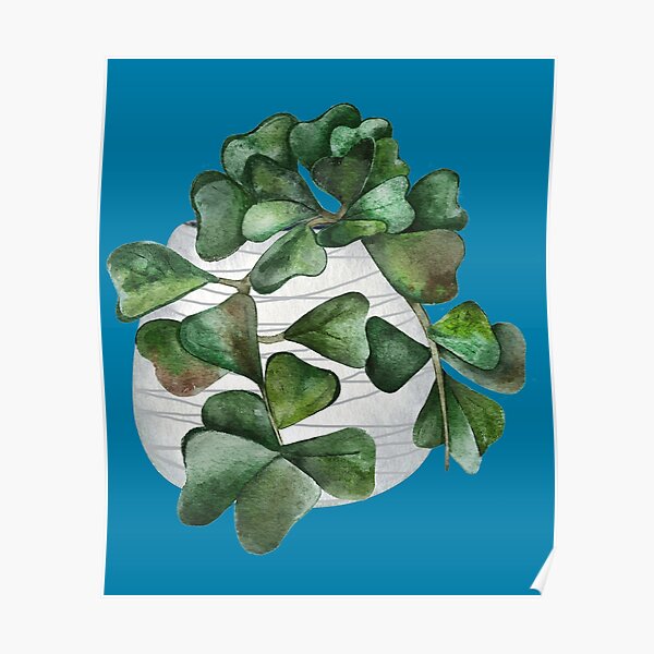 "Golden hanging pothos plant | Pothos (Epipremnum aureum) " Poster for ...