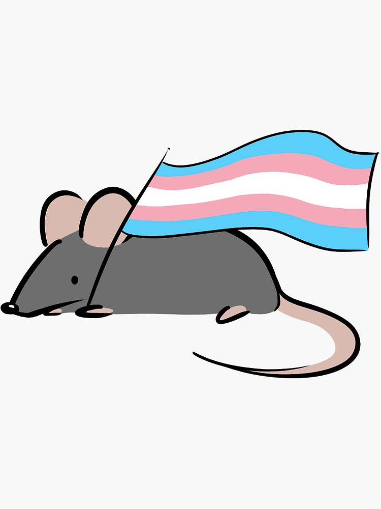 "Transgender Flag Pride Rat" Sticker for Sale by Deadegg | Redbubble