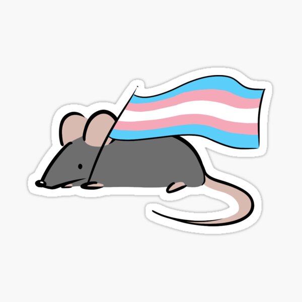 "Transgender Flag Pride Rat" Sticker for Sale by Deadegg | Redbubble