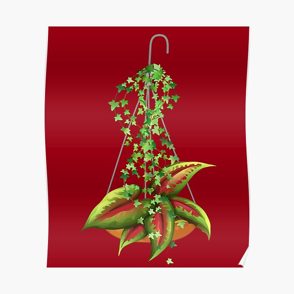 "Golden hanging pothos plant | Pothos (Epipremnum aureum) " Poster for ...