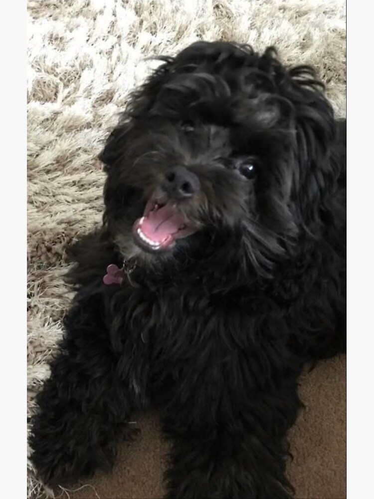 "Penelope Susan Woolfall smiling." Sticker for Sale by Lovebug70 ...