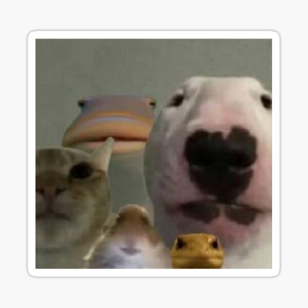 "funny collage, meme" Sticker for Sale by Kiara3000 | Redbubble