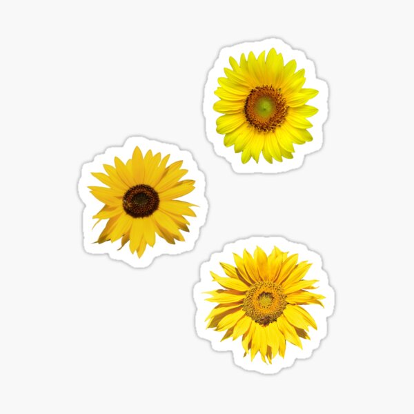 "Baby Yellow Sunflowers " Sticker for Sale by NICE-ARAM | Redbubble
