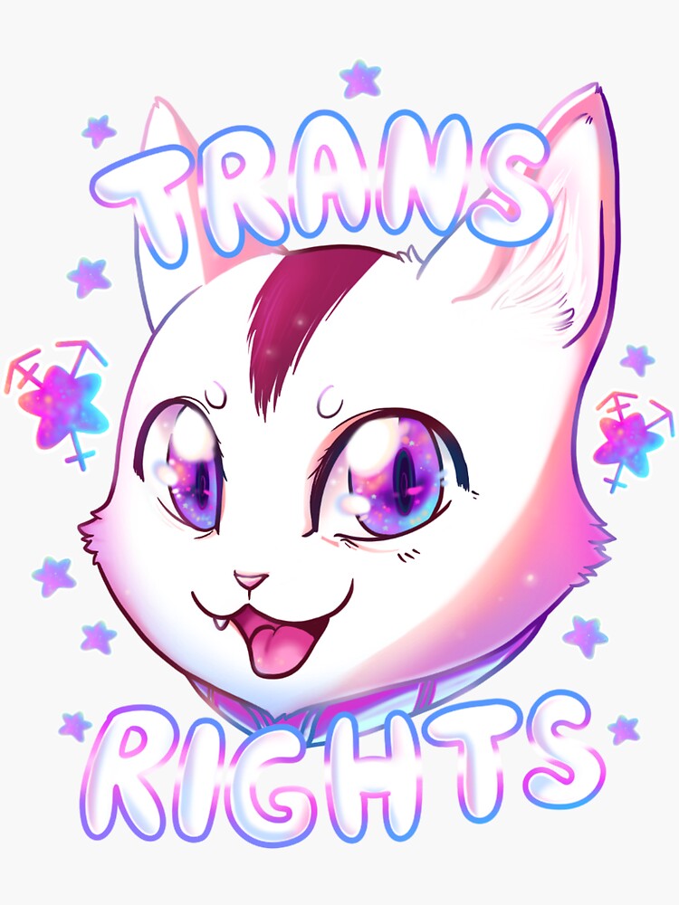 "trans rights!" Sticker for Sale by Alice RL | Redbubble