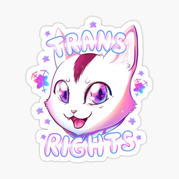 "trans rights!" Sticker for Sale by Alice RL | Redbubble