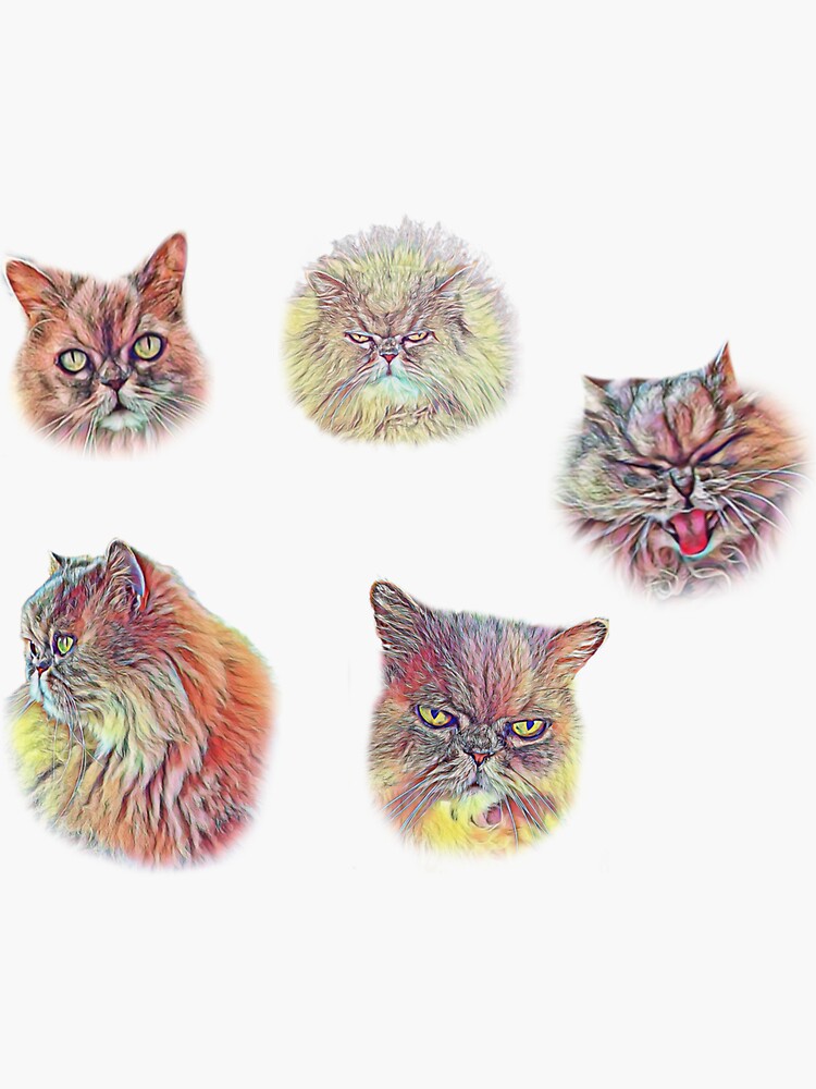 "Custom Cat Stickers 5-Pack [2]" Sticker for Sale by MilliPaws | Redbubble