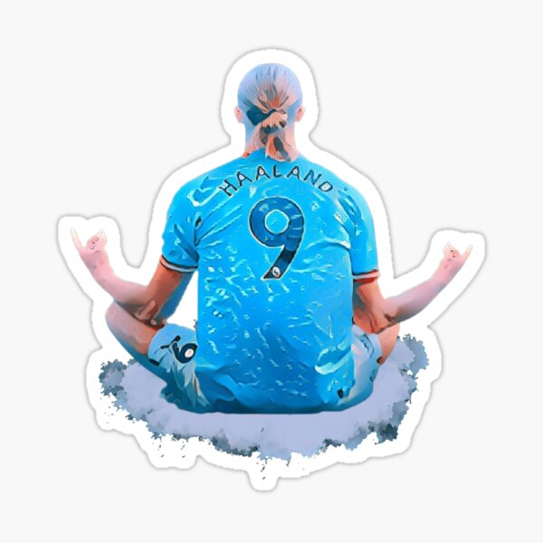 "Erling Haaland flying cloud" Sticker for Sale by WISS4RT | Redbubble