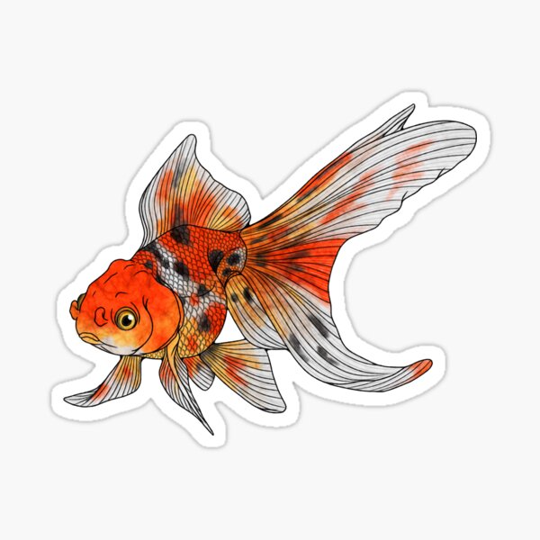 Goldfish Stickers | Redbubble