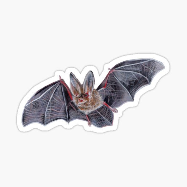 "Bat" Sticker for Sale by CheyRose-art | Redbubble