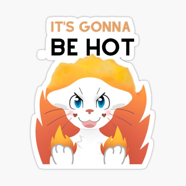 "Fire it's gonna be hot ferret" Sticker for Sale by nazarspace | Redbubble