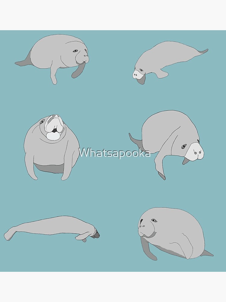 "Sea cows" Poster by Whatsapooka | Redbubble