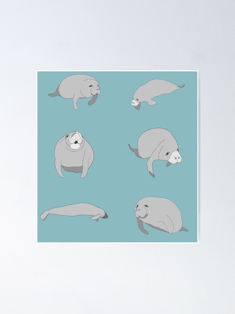 "Sea cows" Poster by Whatsapooka | Redbubble