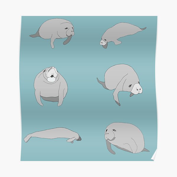 "Sea cows" Poster by Whatsapooka | Redbubble
