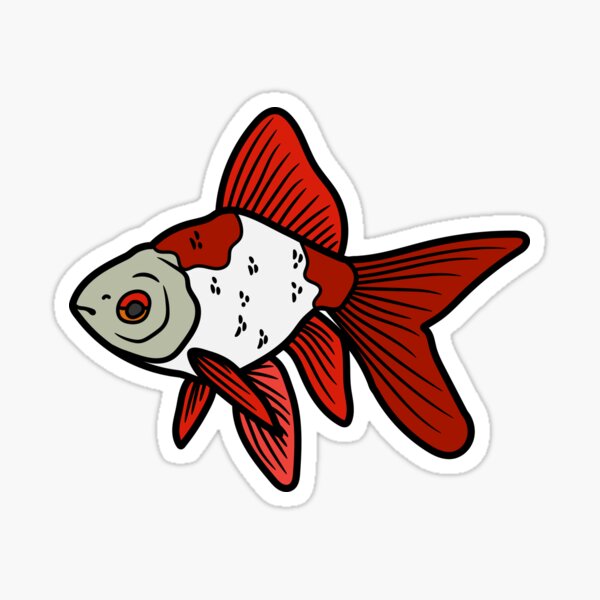 "fantail goldfish" Sticker for Sale by Animster | Redbubble
