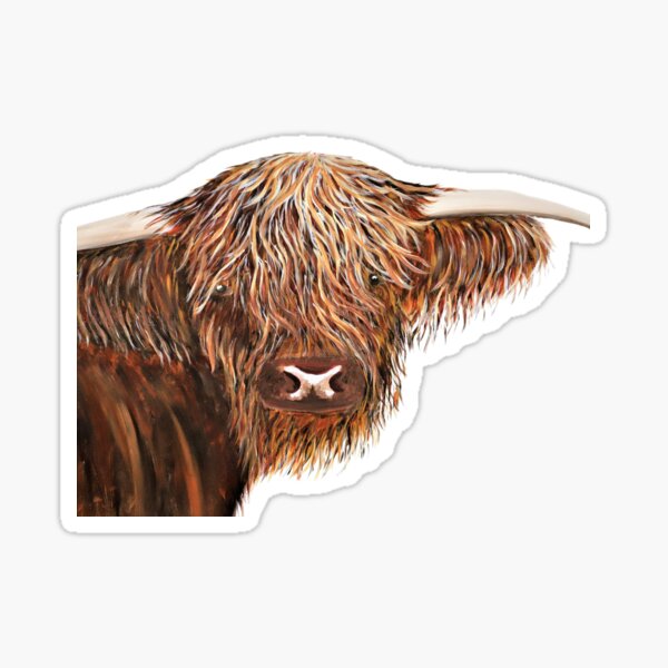 "Hand painted highland coo in acrylics " Sticker for Sale by artofhowes ...