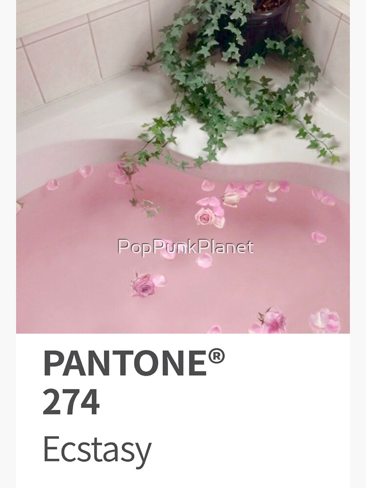 "Pantone Ecstasy " Sticker for Sale by PopPunkPlanet | Redbubble