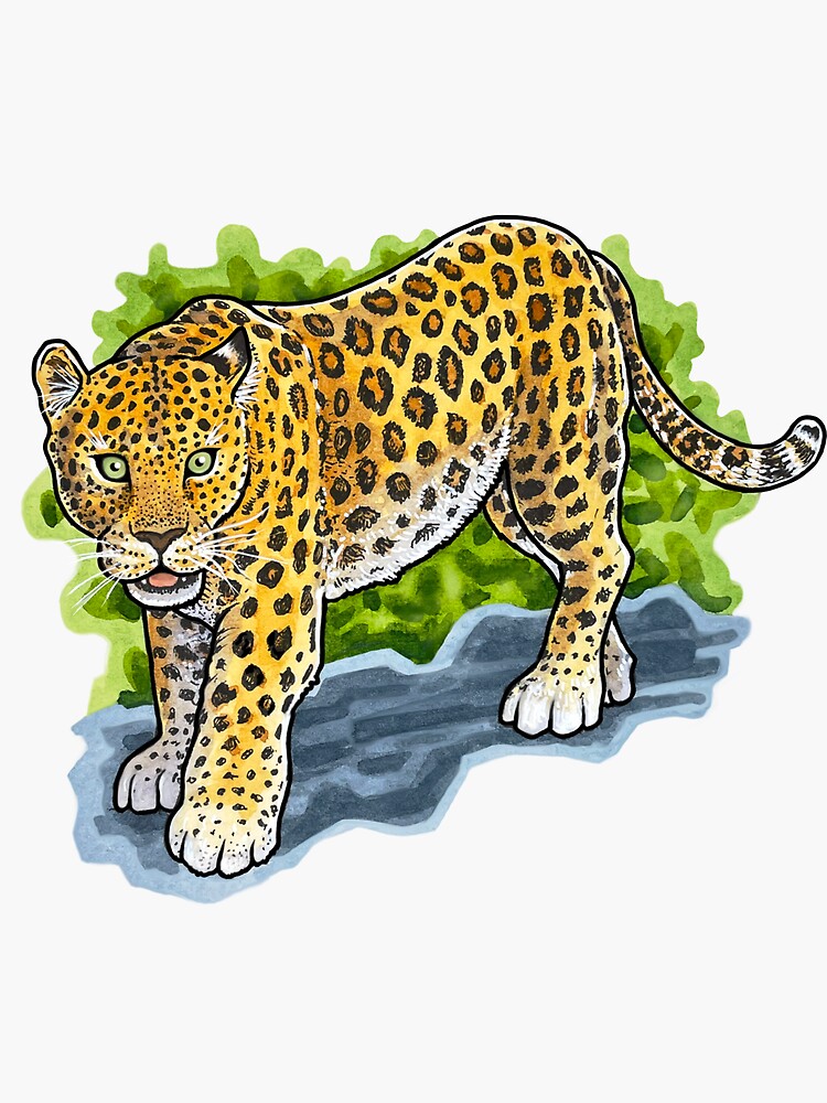 "Amur Leopard" Sticker for Sale by Jebb-Art | Redbubble