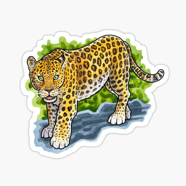 "Amur Leopard" Sticker for Sale by Jebb-Art | Redbubble