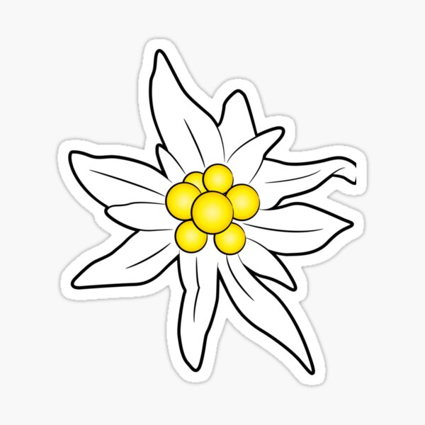 "Edelweiss-flower" Sticker for Sale by Acep165tw | Redbubble