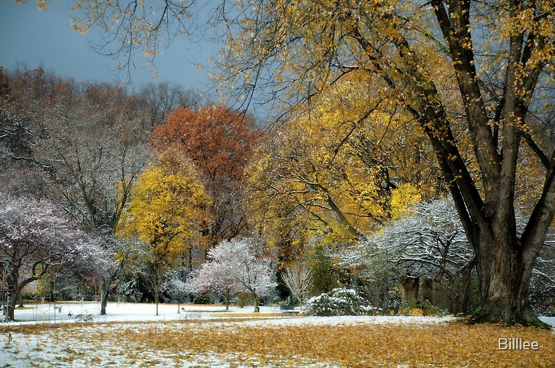 "Late Fall, Early (Snow) Fall!" by Billlee | Redbubble
