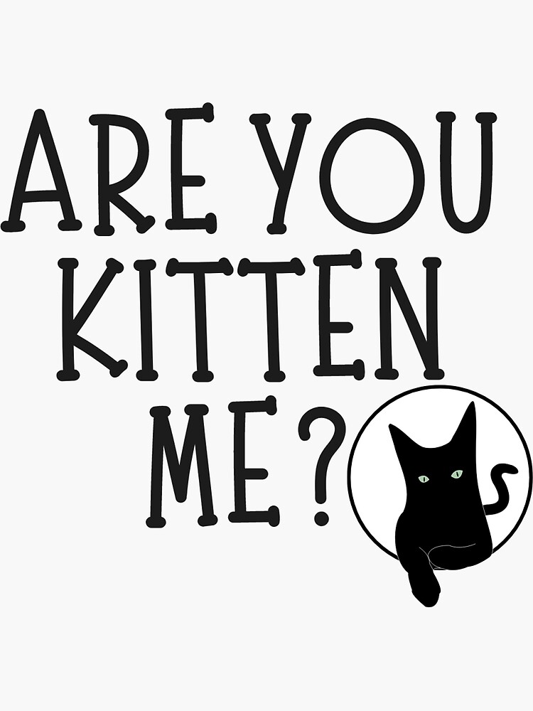 "CUTE MINIMALIST CAT QUOTE ART | ARE YOU KITTEN ME?" Sticker for Sale ...