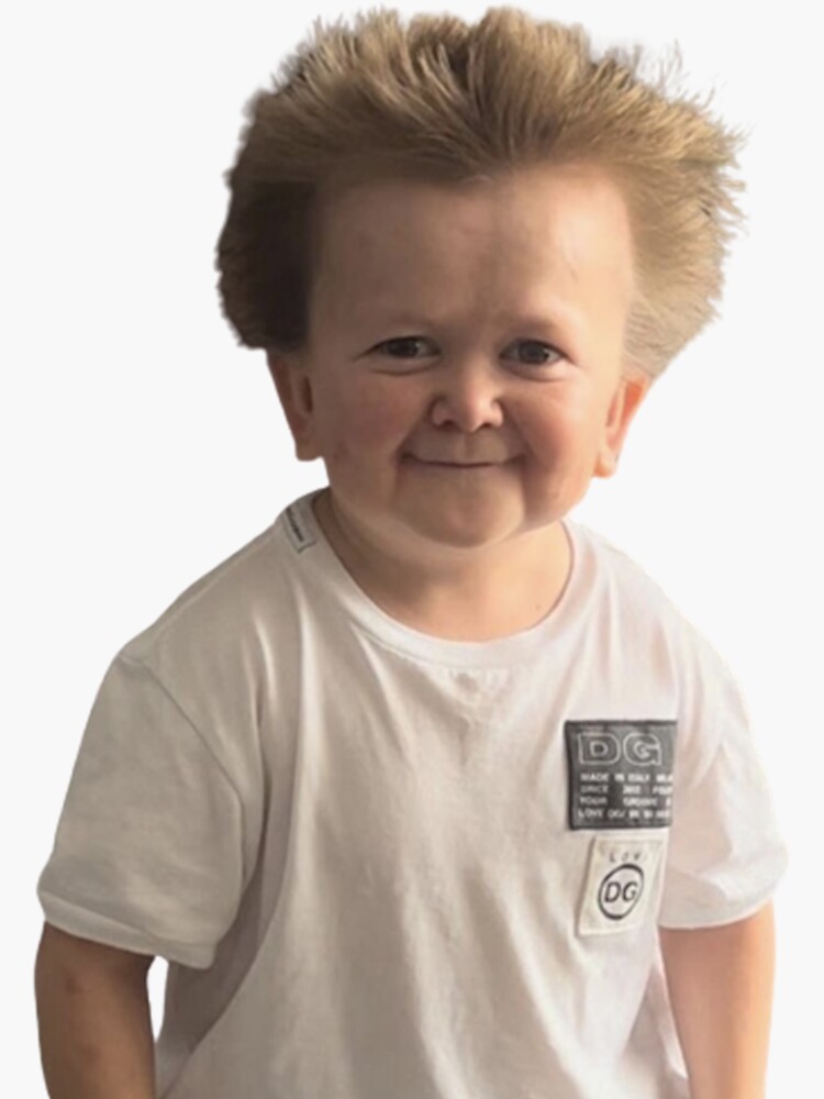 "Cute Hasbulla Magomedov" Sticker for Sale by davetimberwolf | Redbubble
