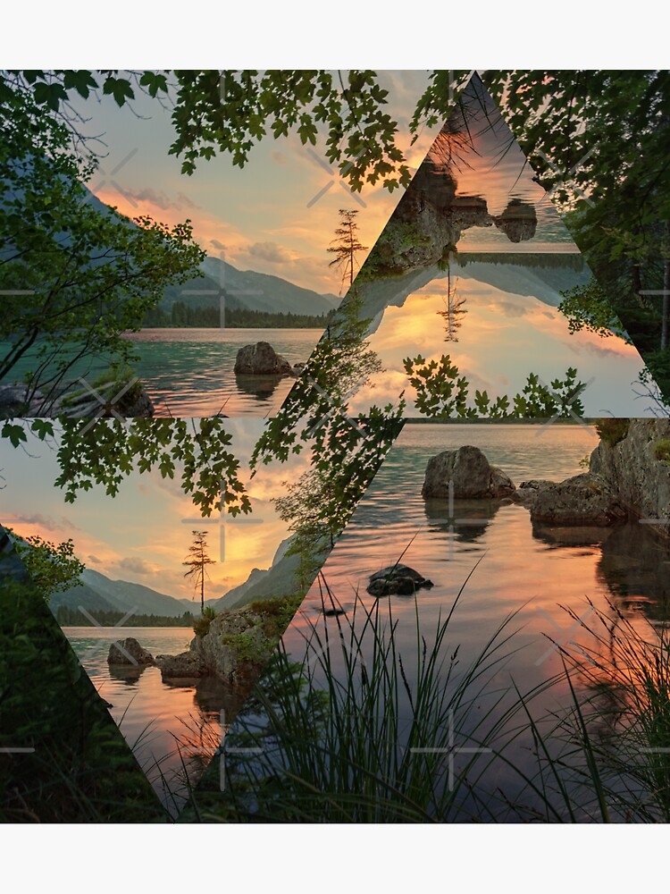 "Asymmetric Forest Landscape - Truly Amazing Optical Illusion ...