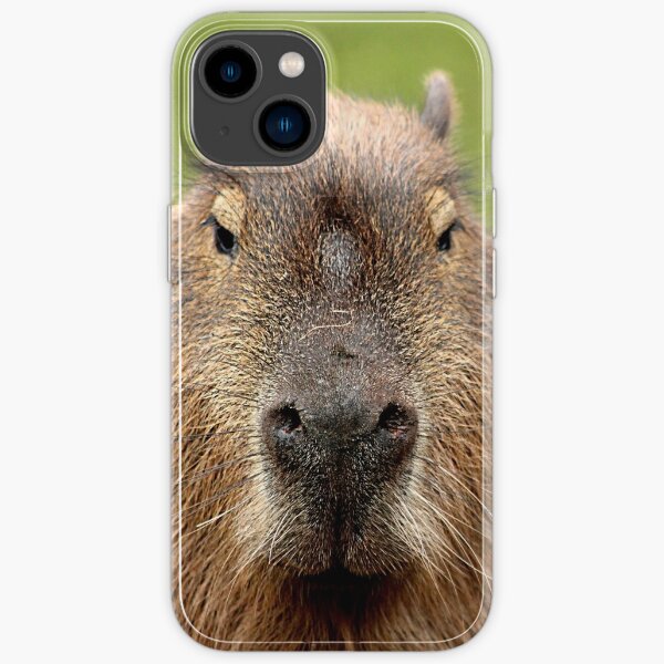 "Portrait of a rather handsome capybara" iPhone Case for Sale by ...