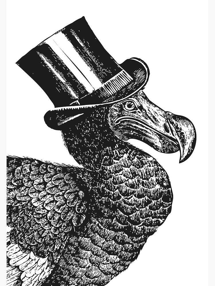 "Mr Dodo | Vintage Dodos | Black and White | " Photographic Print by ...
