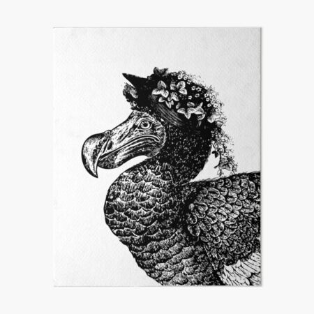 "Mrs Dodo | Vintage Dodos | Black and White | " Art Board Print by ...