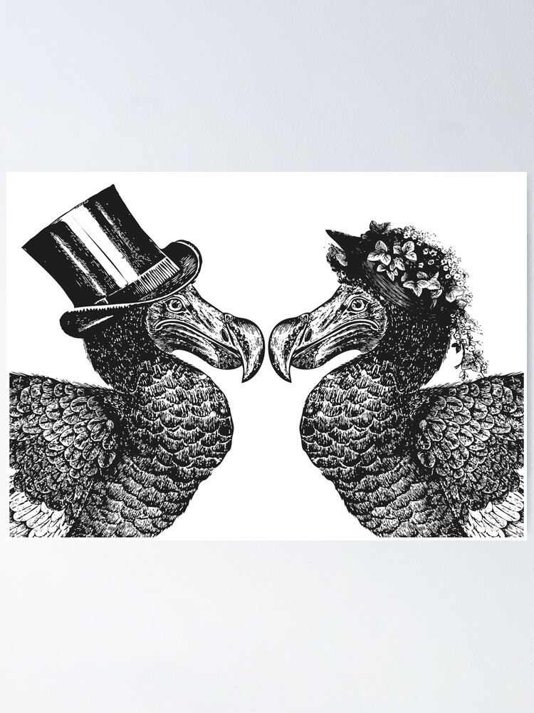 "Mr and Mrs Dodo | Dodo Couple | Vintage Dodos | Black and White ...