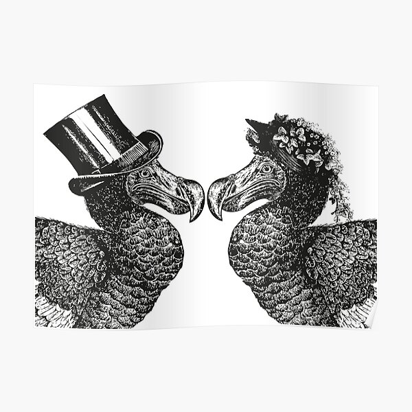 "Mr and Mrs Dodo | Dodo Couple | Vintage Dodos | Black and White ...