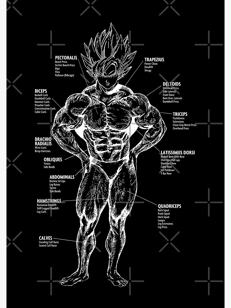 "Goku Muscle Chart Anatomy Diagram - Anime Workout" Spiral Notebook for ...