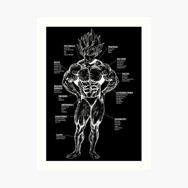 "Goku Muscle Chart Anatomy Diagram - Anime Workout" Art Print for Sale ...
