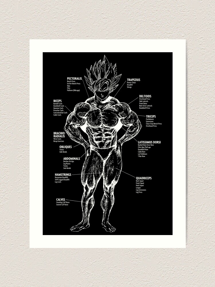 "Goku Muscle Chart Anatomy Diagram - Anime Workout" Art Print for Sale ...