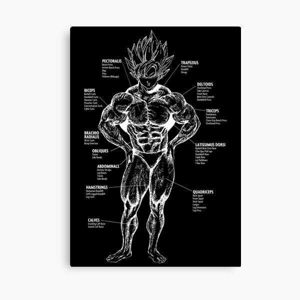 Lienzo «Diagrama de anatomía de Goku Muscle Chart - Entrenamiento de ...