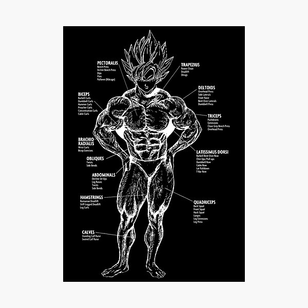 Lámina fotográfica «Diagrama de anatomía de Goku Muscle Chart ...