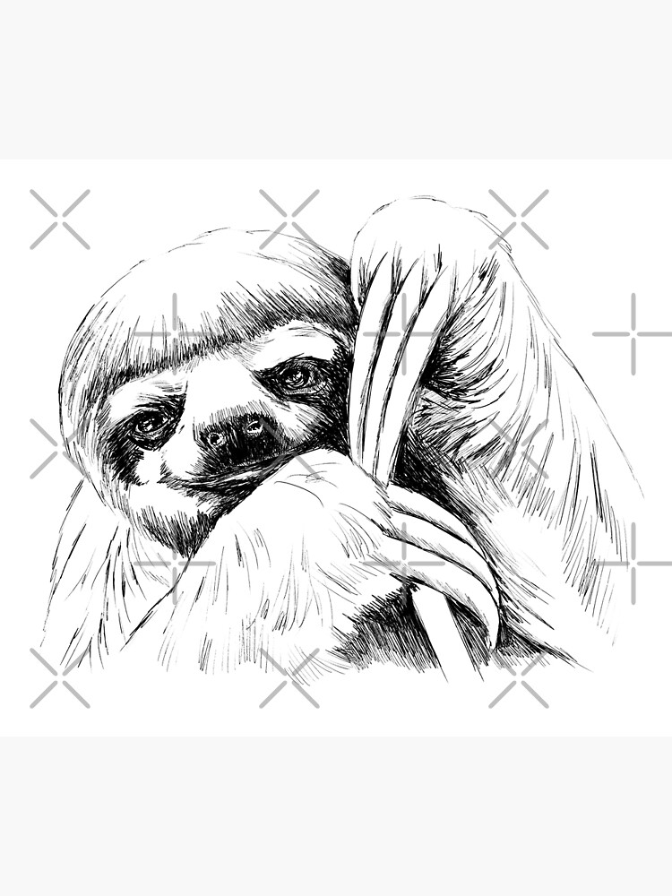 " giant ground three-toed sloth face drawing" Poster for Sale by ...