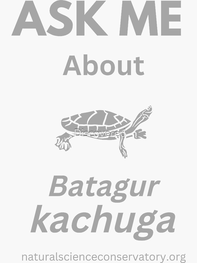 "Ask Me About Batagur kachuga (Red-crowned Roofed Turtle) " Sticker for ...