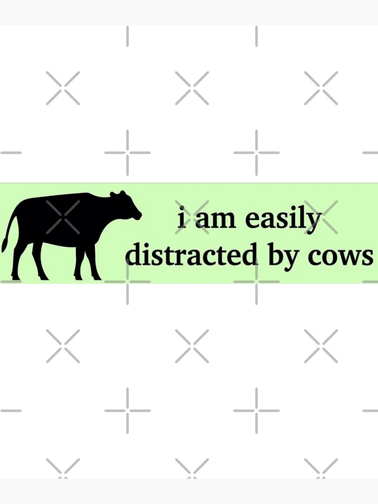 "I Am Easily Distracted By Cows Bumper Sticker Unhinged Humor Funny ...