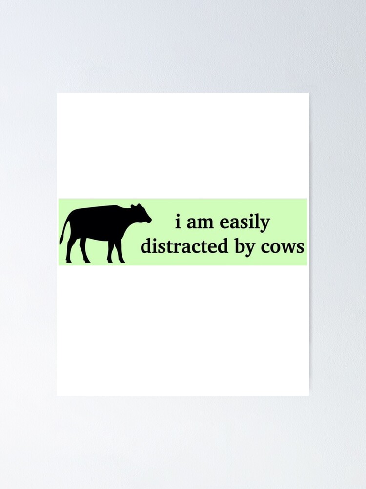 "I Am Easily Distracted By Cows Bumper Sticker Unhinged Humor Funny ...
