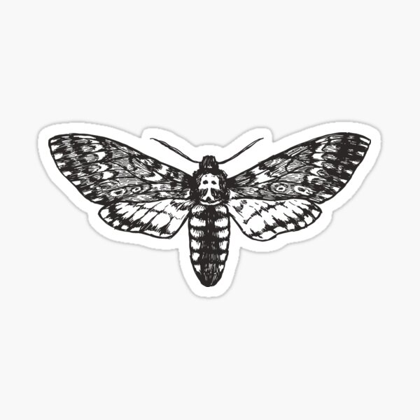 "Moth death head" Sticker for Sale by Mashikomo | Redbubble