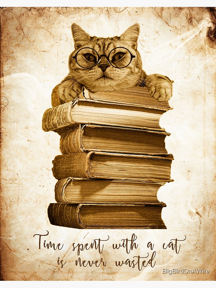 "Bookworm Cat" Poster for Sale by BigBirdOnAWire | Redbubble