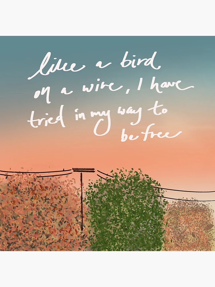 Quotes About Being Free Like A Bird