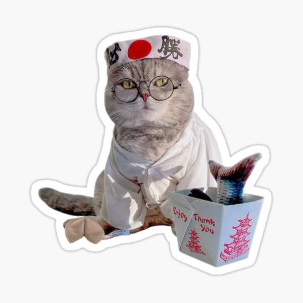 "sushi cat" Sticker for Sale by meme-stuff | Redbubble