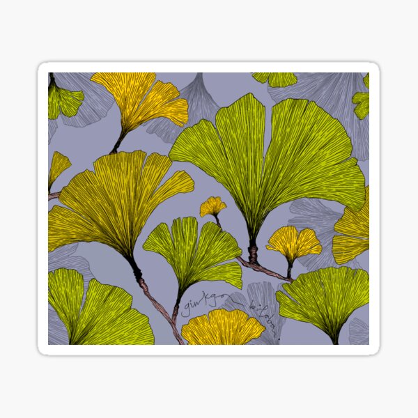 "Ginkgo Biloba" Sticker for Sale by mayaboniek | Redbubble