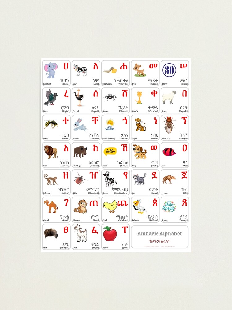 "AMHARIC Alphabet CHART with Words and English Translations Printable ...