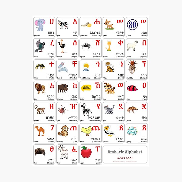 "AMHARIC Alphabet CHART with Words and English Translations Printable ...