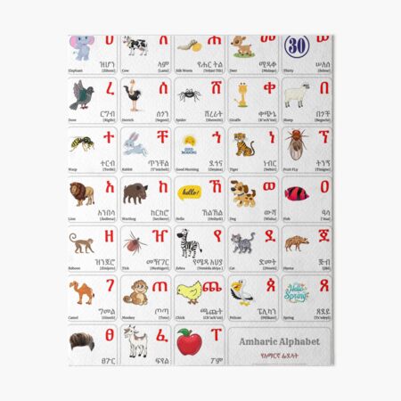 "AMHARIC Alphabet CHART with Words and English Translations Printable ...